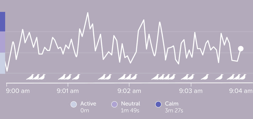 Muse™ EEG-Powered Meditation & Sleep Headband